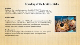 ELP PRESENTATION on poultry final (1) sir-1.pptx | Agriculture | Industries