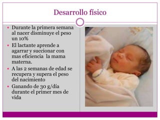 El primer año de vida | PPTX