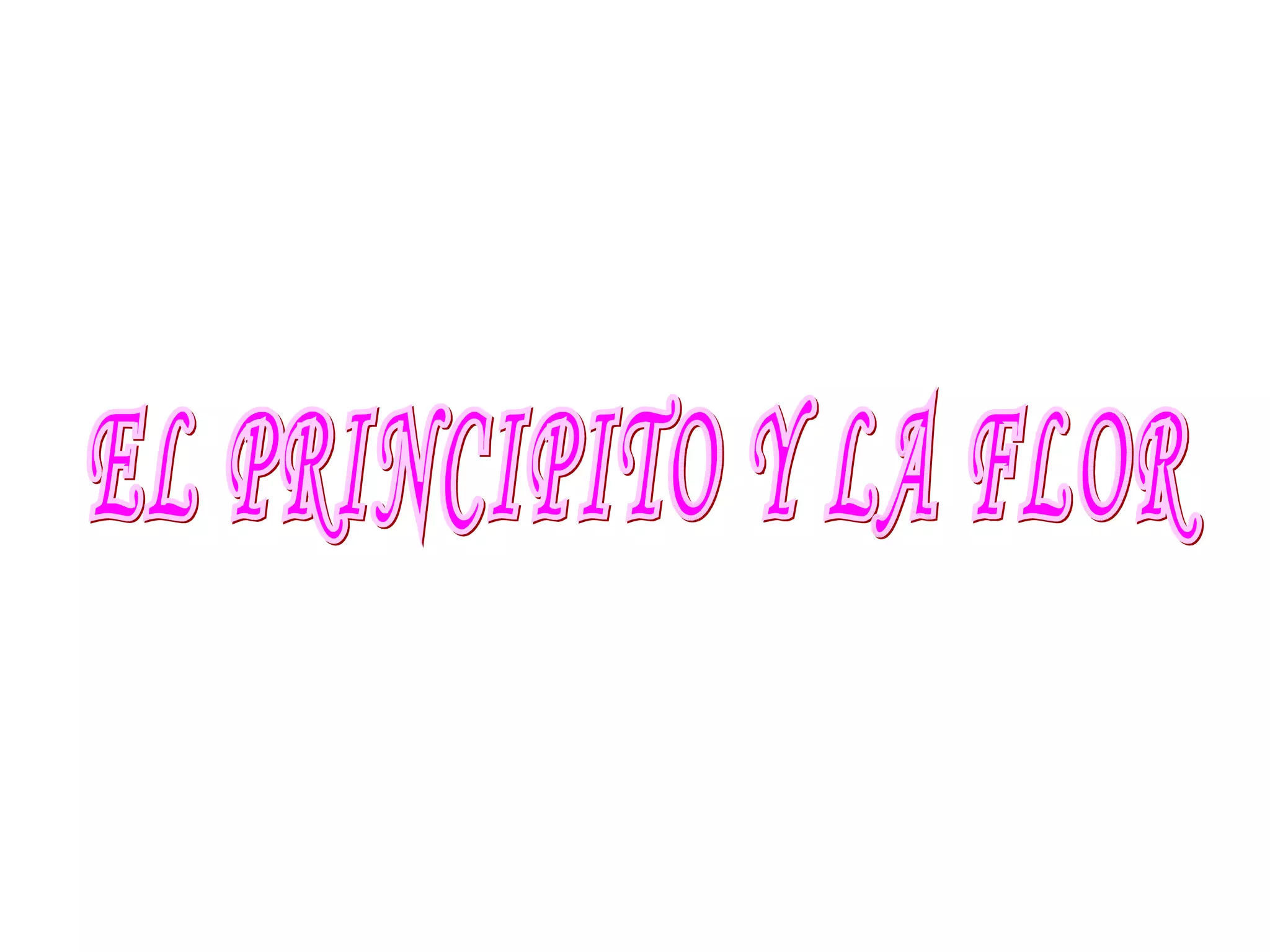 El Principito Y La Flor | PPT
