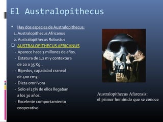 PROCESO DE HOMINIZACIÓN | PPT