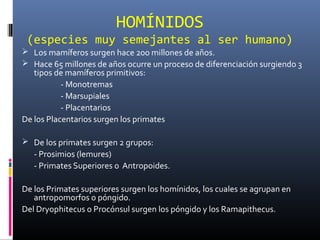 PROCESO DE HOMINIZACIÓN | PPT
