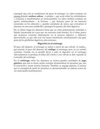 El proceso de la digestion | DOCX