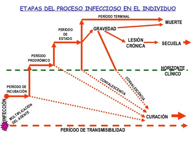 TEMA: El Proceso de la enfermedad infecciosa, definición de infección…