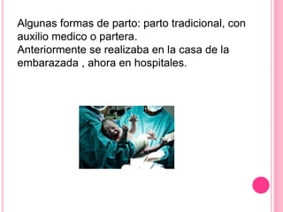 El proceso del nacimiento | PPTX