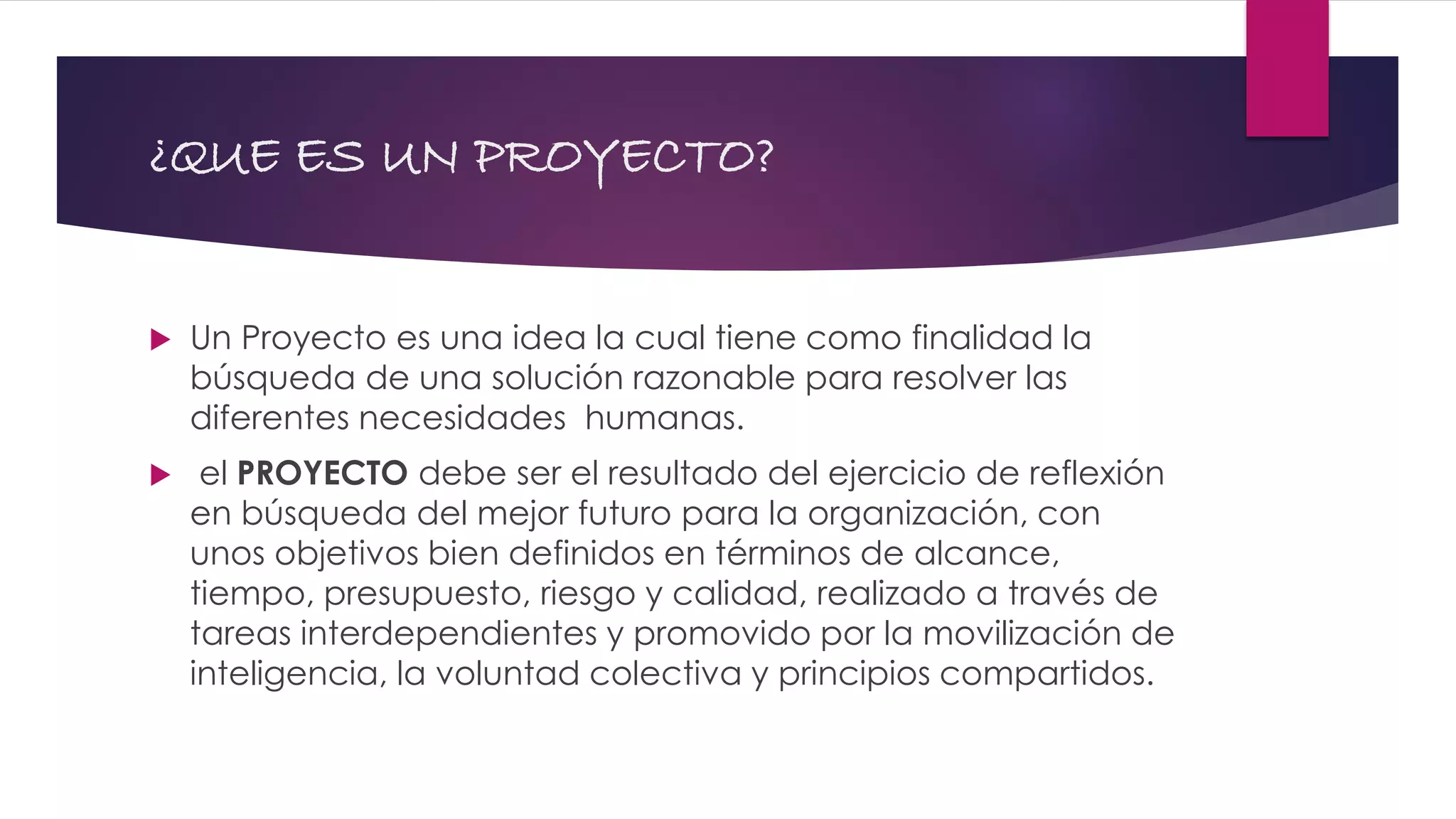El proyecto y sus partes | PDF | Business and Finance