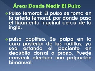 El pulso | PDF