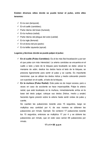 El pulso: importancia, lugares donde se puede palpar el pulso y su ...