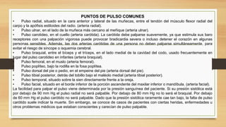 El pulso | PPT