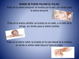 El pulso | PPTX