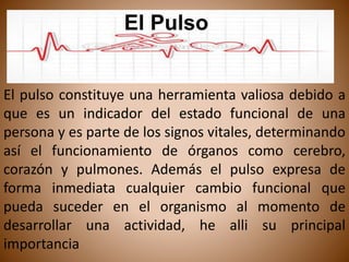 El pulso | PPTX