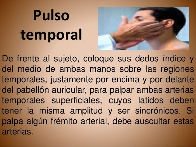 El pulso