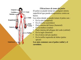 El pulso frecuencia cardiaca | PPTX