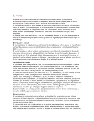 El puma | DOCX
