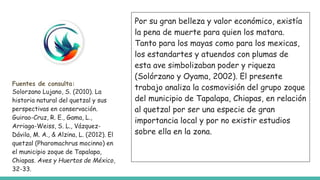 EL QUETZAL, una especie endémica en peligro de extinción. | PPTX