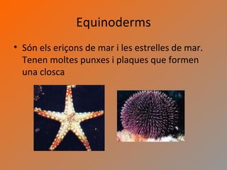 El regne animal | PPT