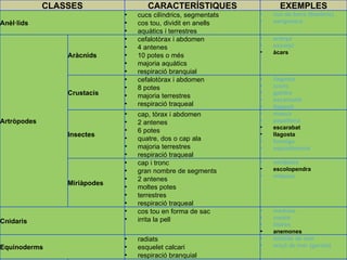 El regne animal | PPT