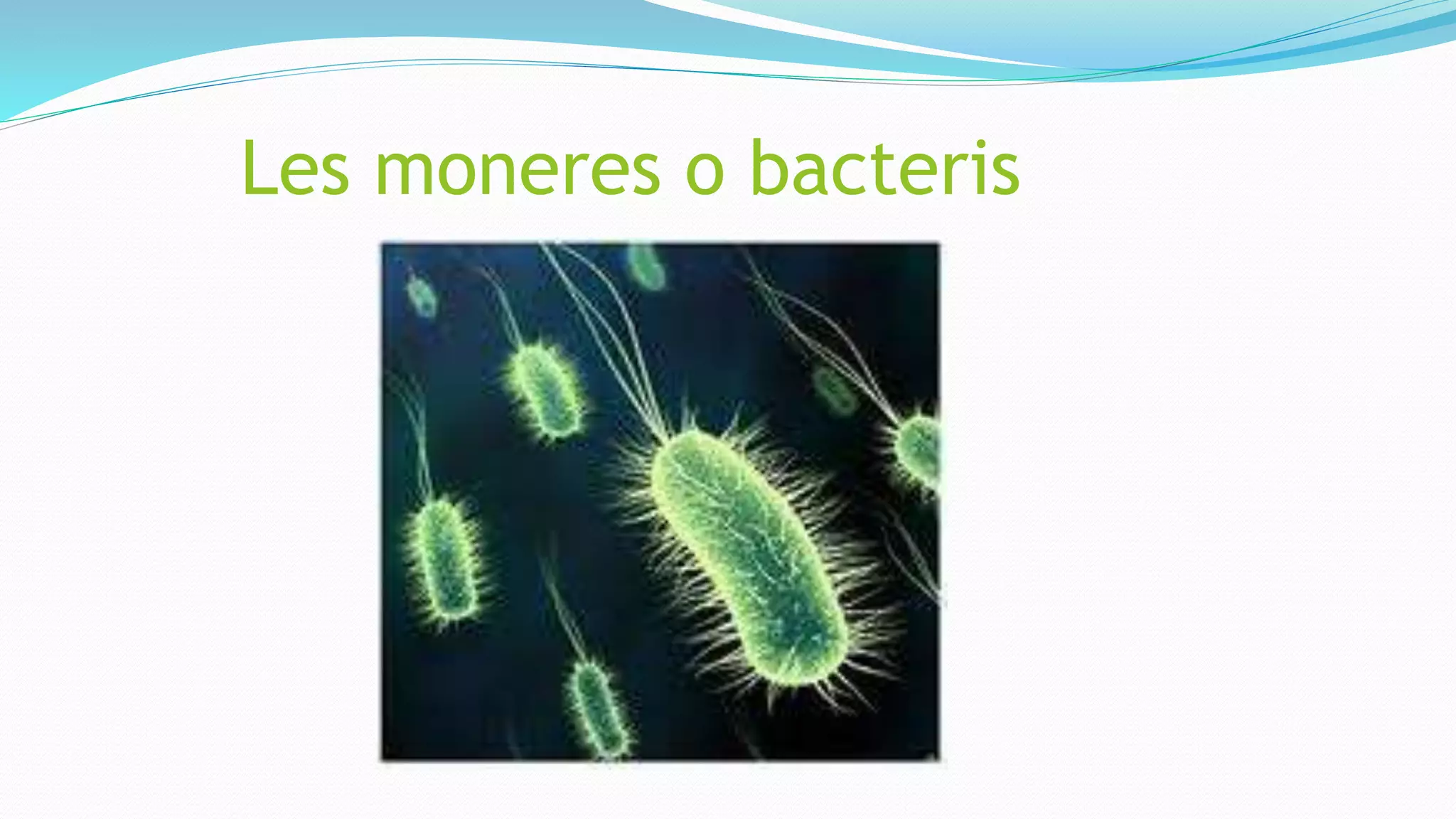 El regne de les moneres | PPT