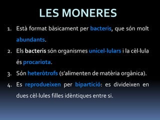 El regne de les moneres | PPTX