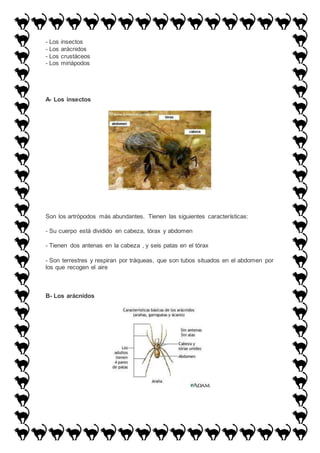 El reino animal | DOCX