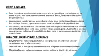 El reino archaea imagenes ciencia y ambiente | PDF