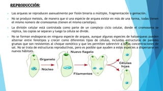 El reino archaea imagenes ciencia y ambiente | PDF