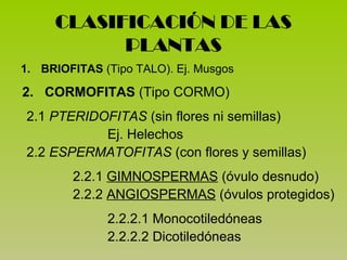 El Reino de las Plantas | PPT