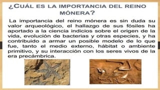 El reino monera | PPTX
