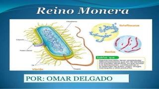 El reino monera | PPTX