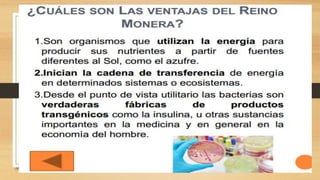 El reino monera | PPTX