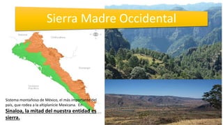 El relieve de sinaloa | PPTX