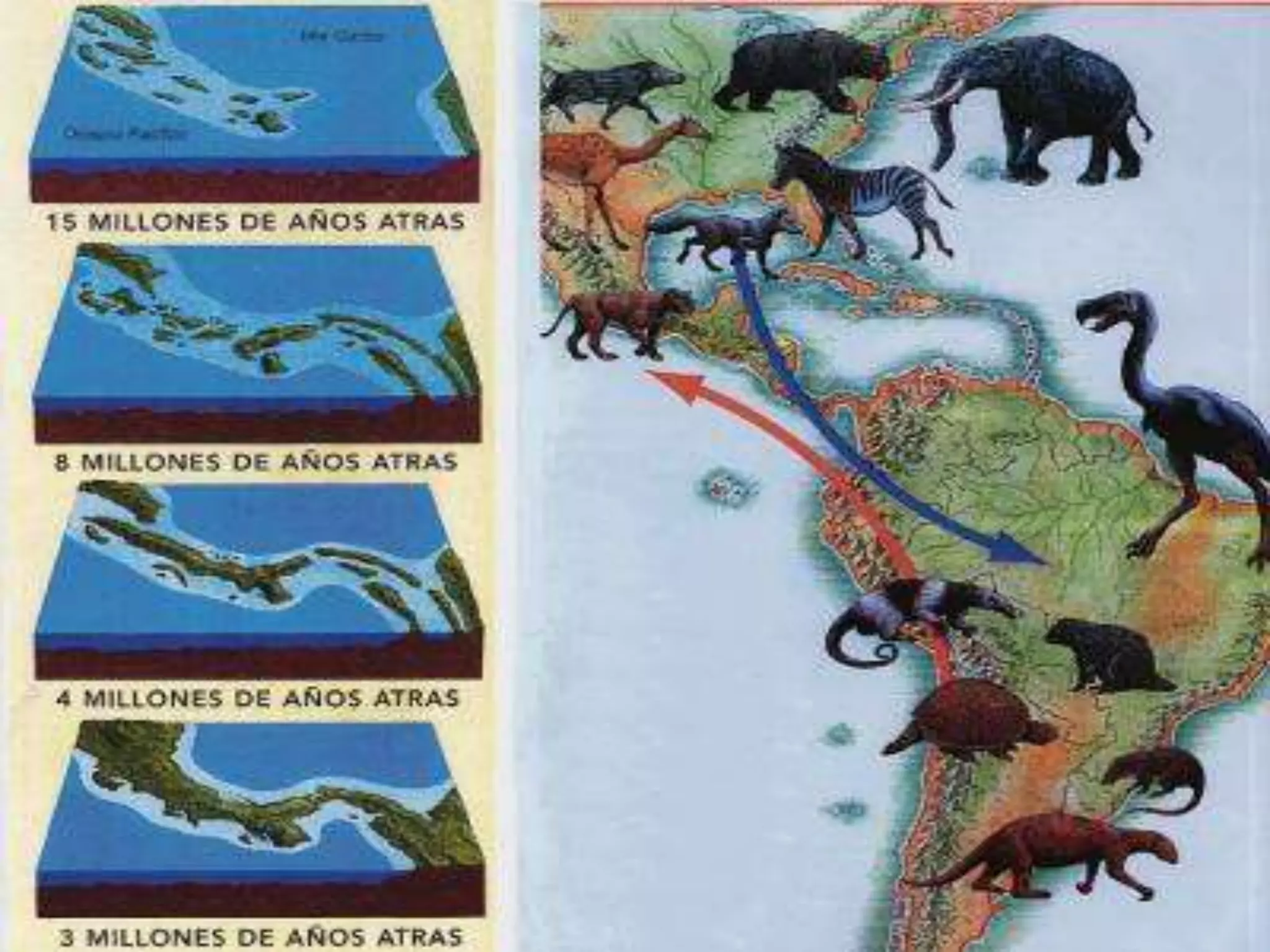 El relieve panameño | PPTX