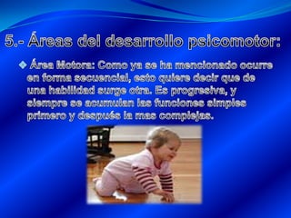 desarrollo perceptivo-motriz | PPTX | Brain and Nervous System Disorders | Diseases and Conditions