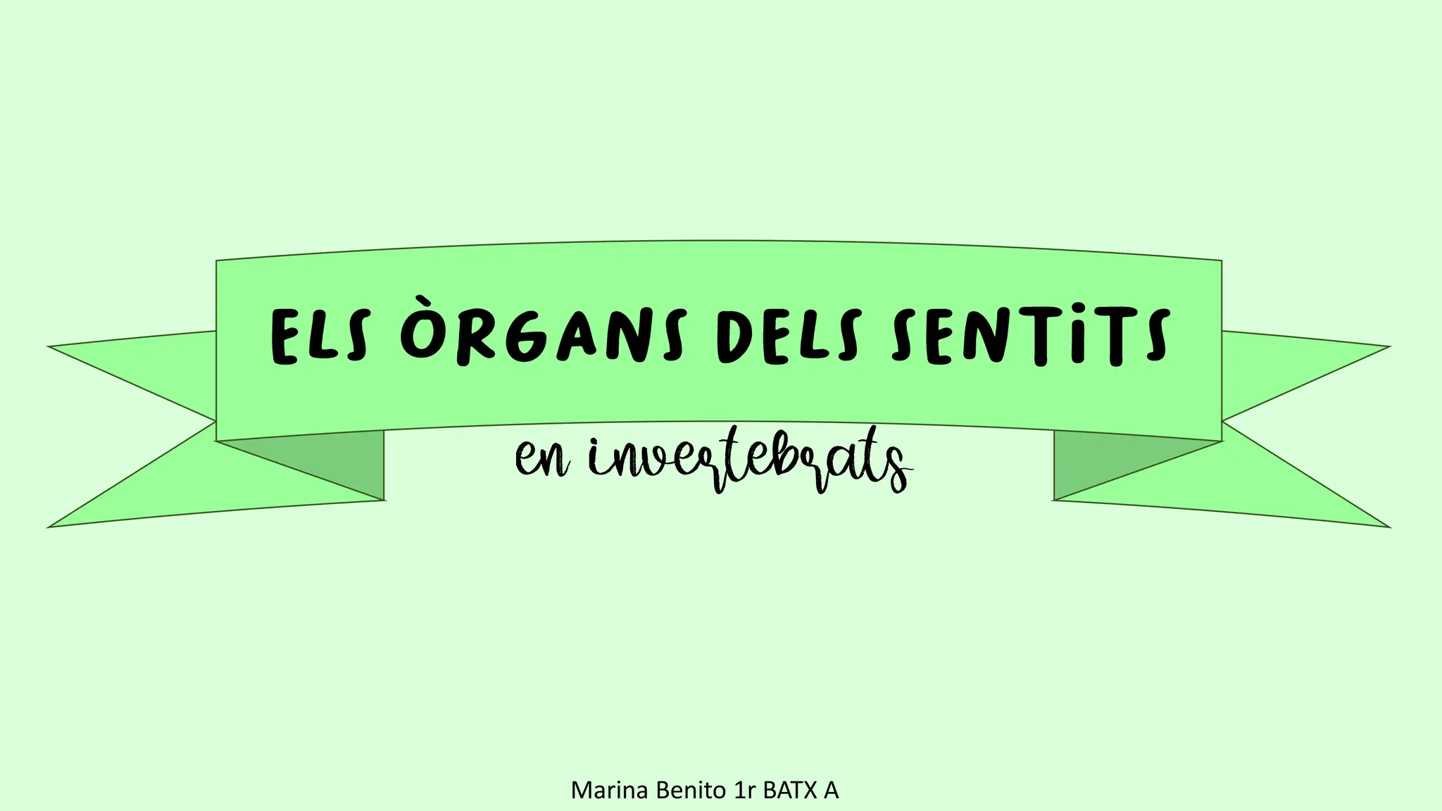 El òrgans dels sentits en invertebrats.pdf