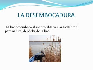 EL RIU EBRE | PPT