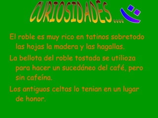 El roble | PPT