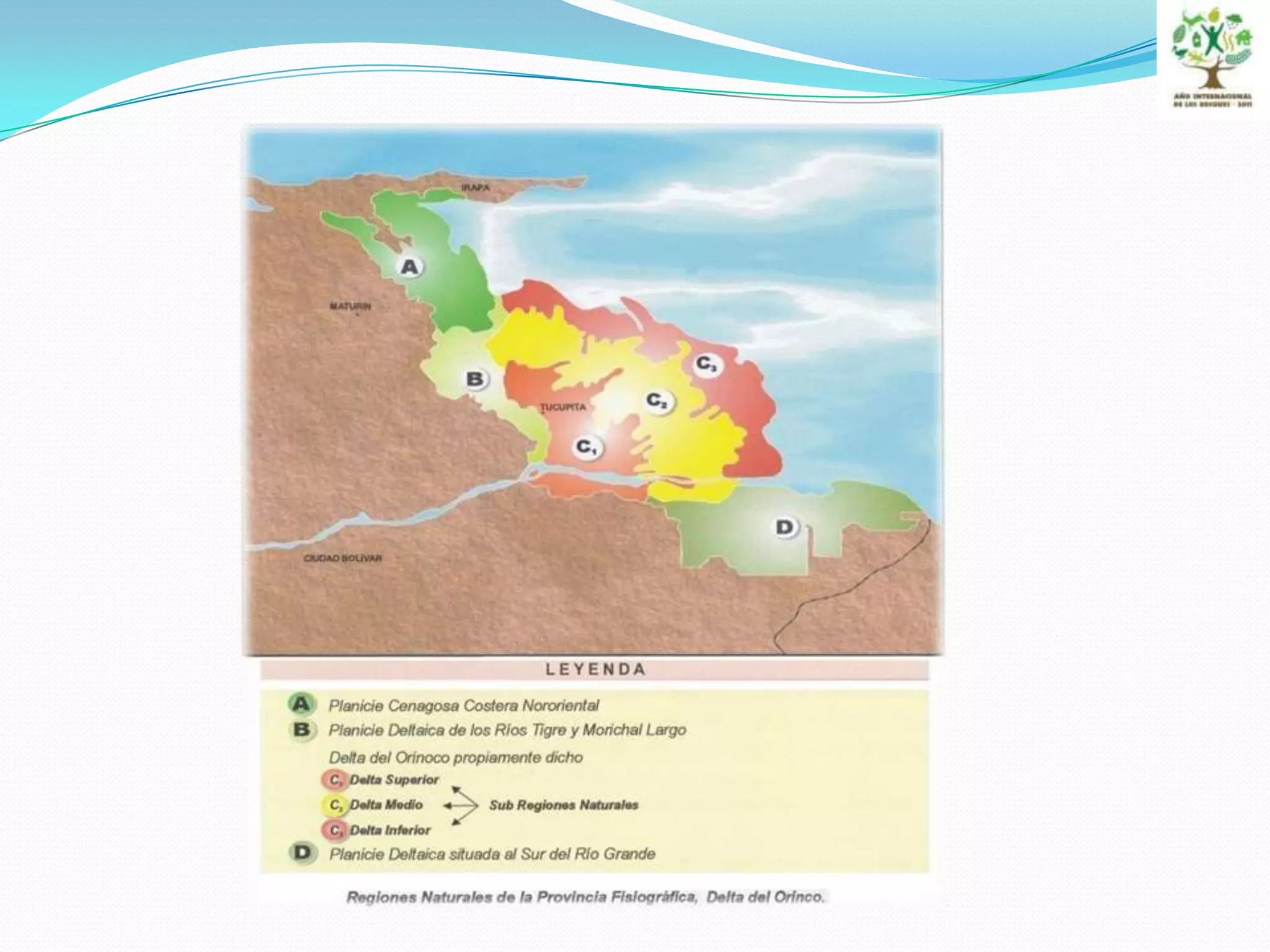 El rol ecológico de los bosques de manglar y los morichales en la ...