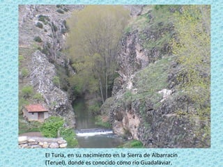 El río turia | PPT