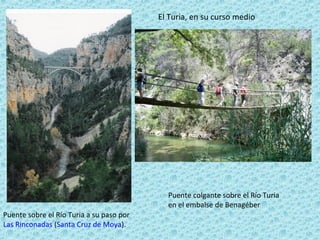 El río turia | PPT