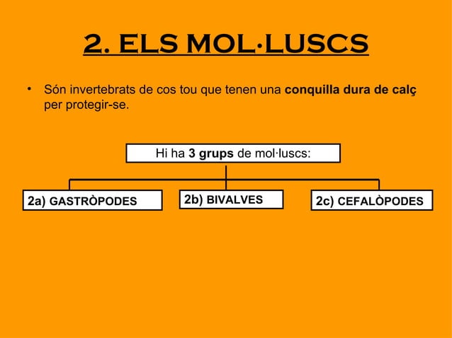 Els Animals Invertebrats | PPT
