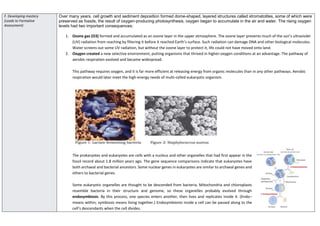 ELS-DLP Q2 -The Origin of the First Life Forms on Earth.docx | Geology ...