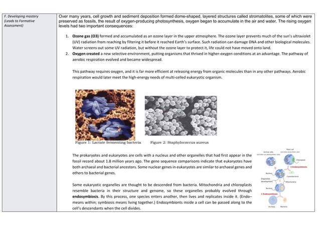ELS-DLP Q2 -The Origin of the First Life Forms on Earth.docx | Geology ...