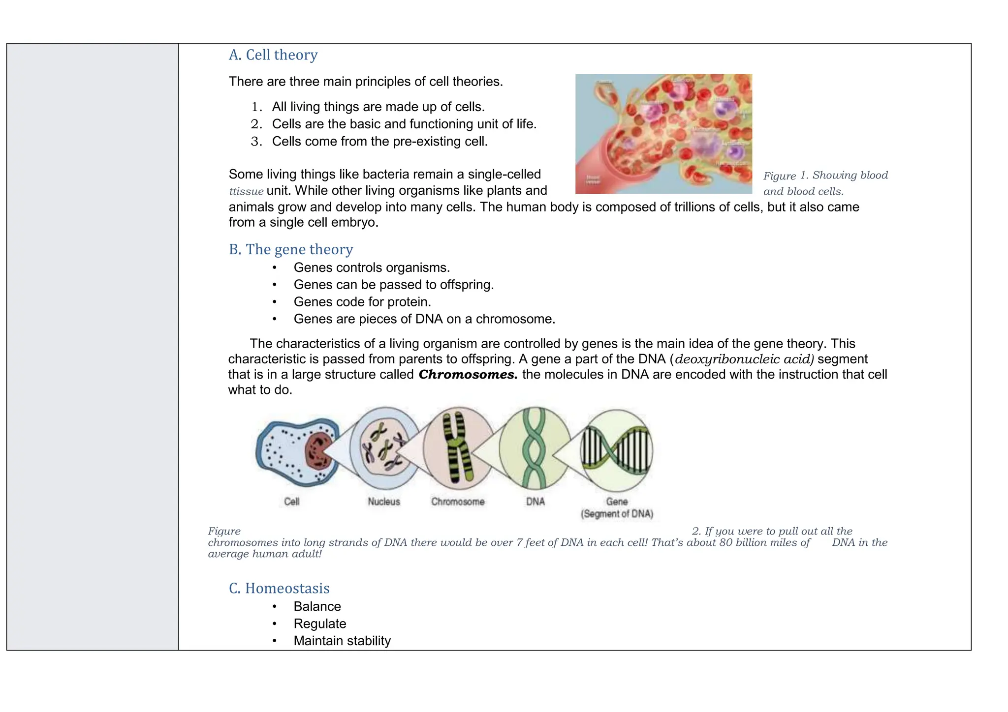 ELS-DLP Q2-unifying themes in the study of life.docx