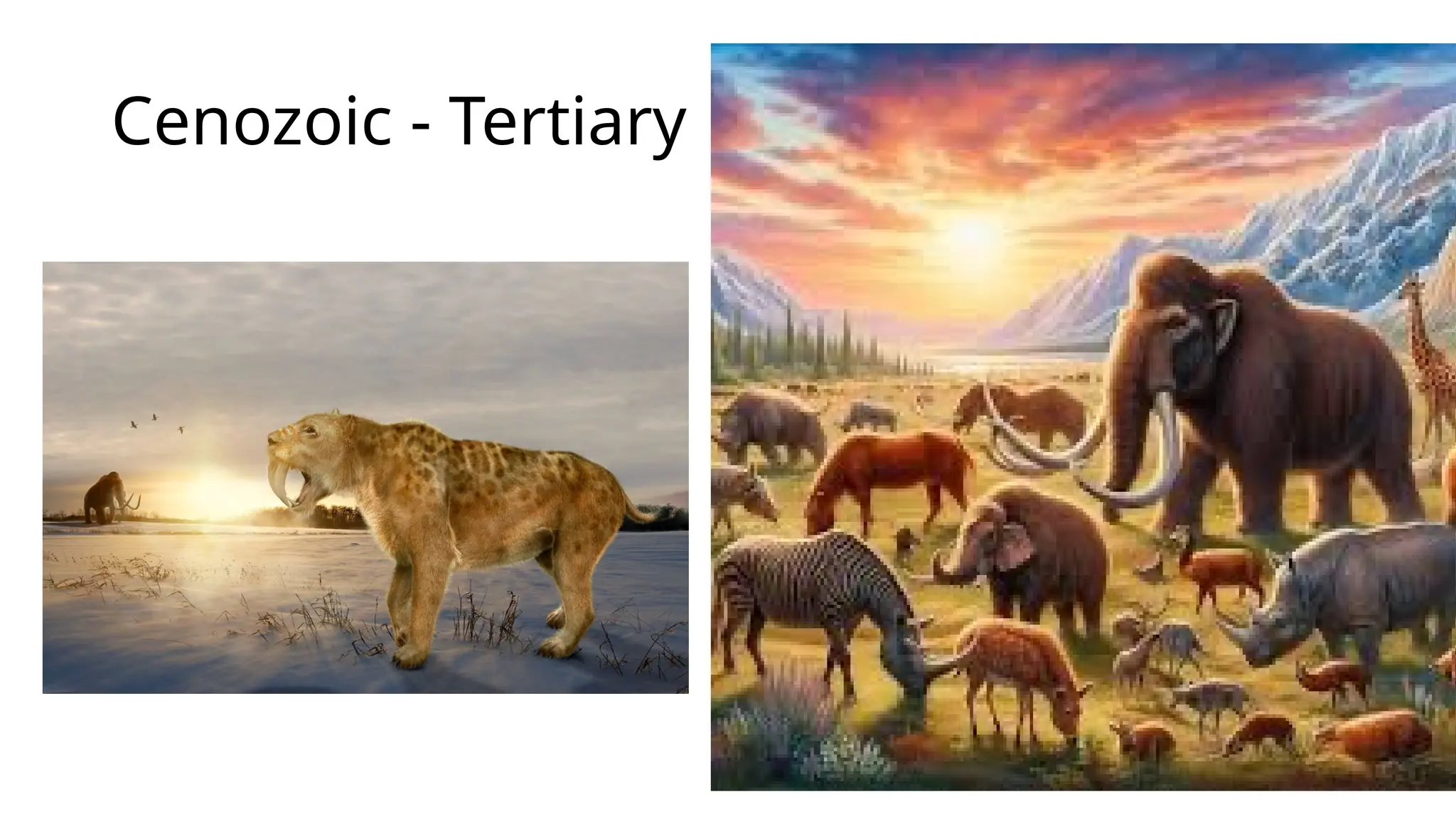 ELS - Geologic Timeline Presentation .pptx