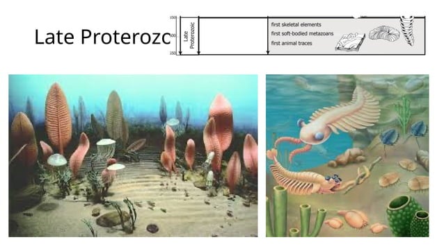 ELS - Geologic Timeline Presentation .pptx