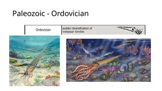 ELS - Geologic Timeline Presentation .pptx