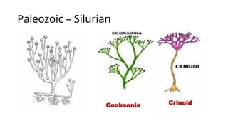ELS - Geologic Timeline Presentation .pptx