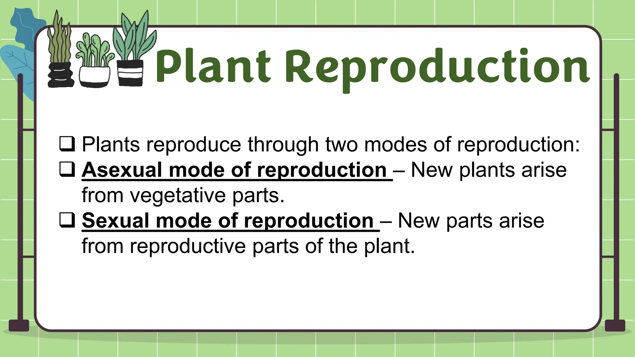Sexual and Asexual Reproduction of Plants | PDF