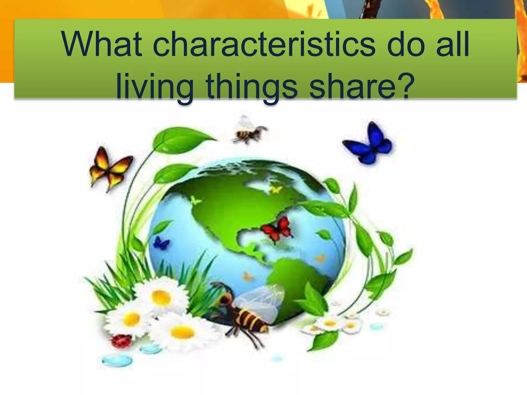 The World Of Life- Earth and Life | PPTX