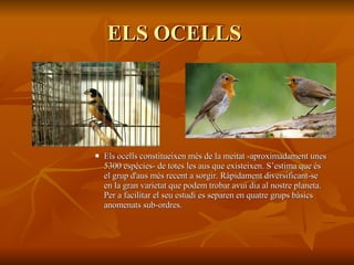 Els Ocells | PPT