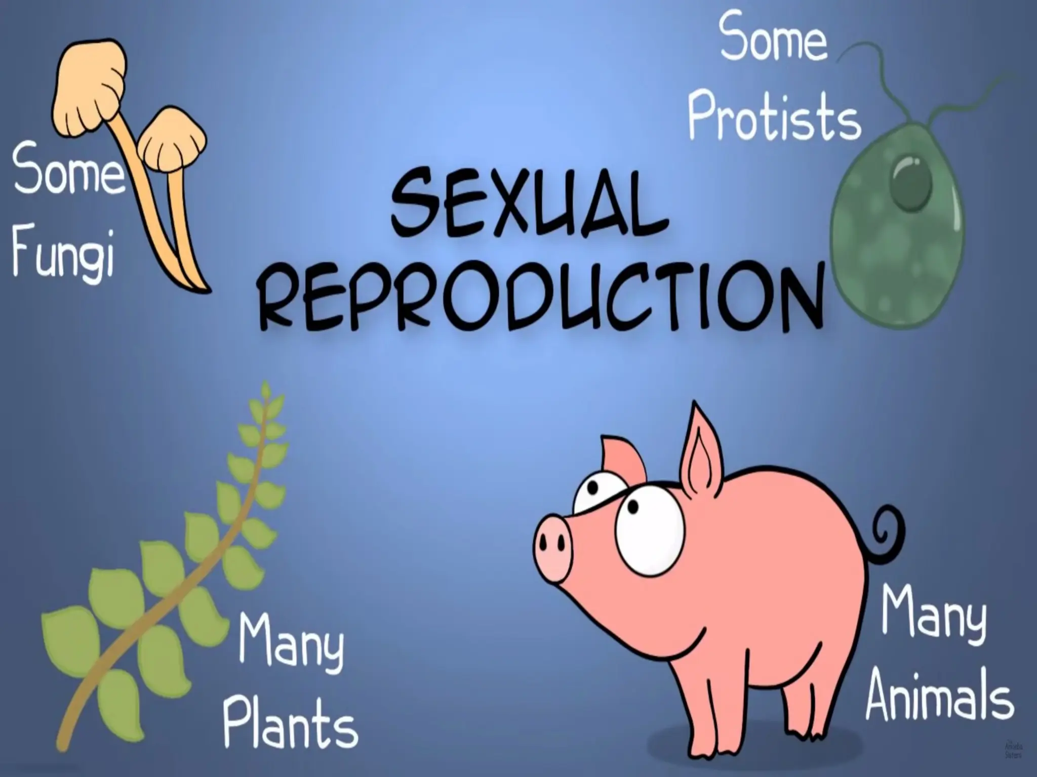 ELS- Plant-and-Animal-Reproduction -.pptx